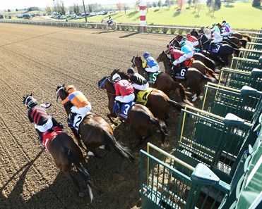 Whitmore - Horse Profile - BloodHorse