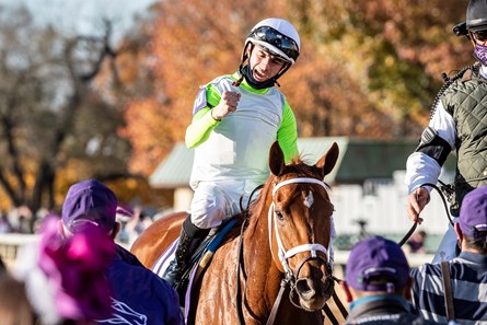 Monomoy Girl - Horse Profile - BloodHorse