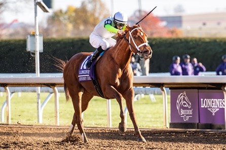 Monomoy Girl - Horse Profile - BloodHorse