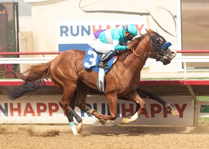 Spielberg - Horse Profile - BloodHorse