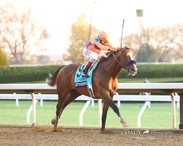 Authentic - Horse Profile - BloodHorse