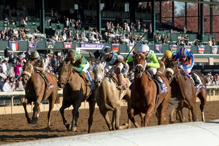 Monomoy Girl - Horse Profile - BloodHorse