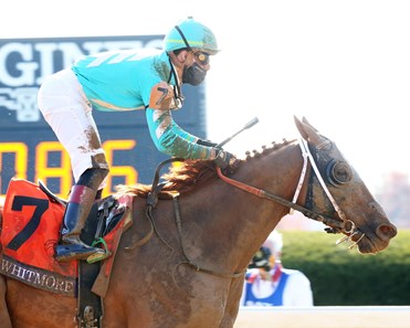 Whitmore - Horse Profile - BloodHorse