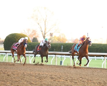 Authentic - Horse Profile - BloodHorse