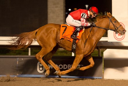 Red River Rebel - Horse Profile - BloodHorse