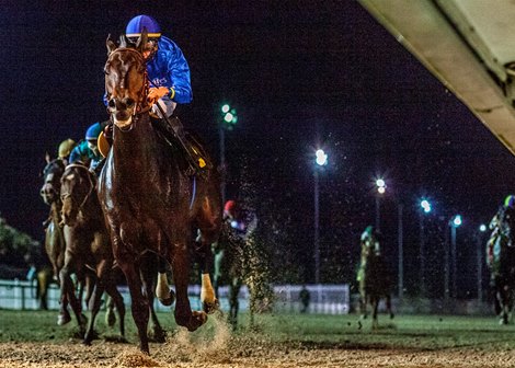Maxfield Wins Tenacious Return to Remain Undefeated - BloodHorse