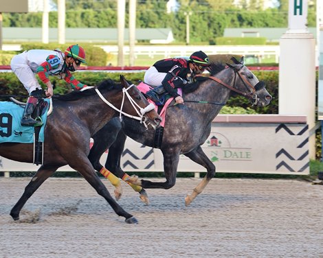 Mr. Prospector Win Puts Sleepy Eyes Todd in Pegasus Mix - BloodHorse