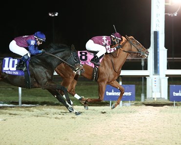 Danger - Horse Profile - BloodHorse