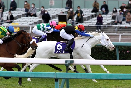 Sodashi (JPN) - Horse Profile - BloodHorse