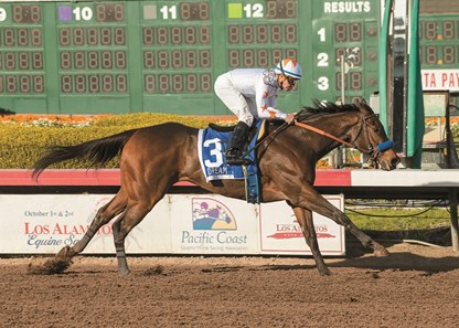 Dream Tree - Horse Profile - BloodHorse