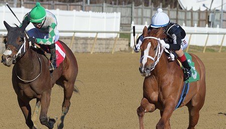 Street Lute - Horse Profile - BloodHorse