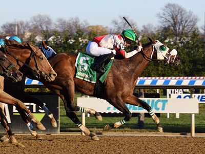 Equibase | Horse Racing | Horse Racing Entries | Horse Racing Results ...