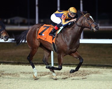 Anna's Fast - Horse Profile - BloodHorse