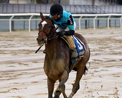 Brooklyn Strong to Pass Withers Stakes Due to Illness - BloodHorse