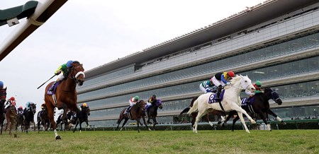 Sodashi (JPN) - Horse Profile - BloodHorse