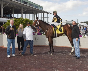 Adios Trippi - Horse Profile - BloodHorse