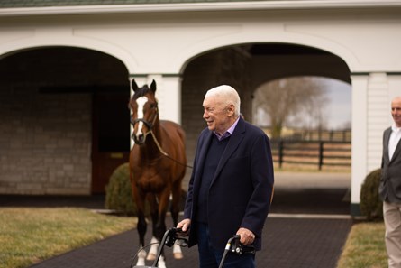 Authentic - Horse Profile - BloodHorse