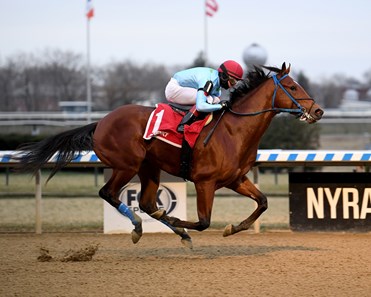 Capo Kane - Horse Profile - BloodHorse