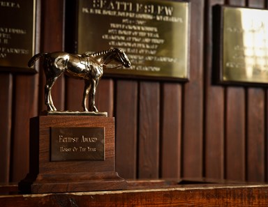 Authentic - Horse Profile - BloodHorse