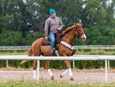 New Palm Beach Downs Lease May Affect Trainers - BloodHorse