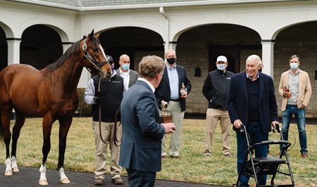 Authentic - Horse Profile - BloodHorse