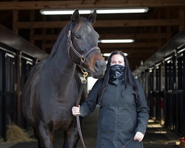 Solid Appeal - Horse Profile - BloodHorse