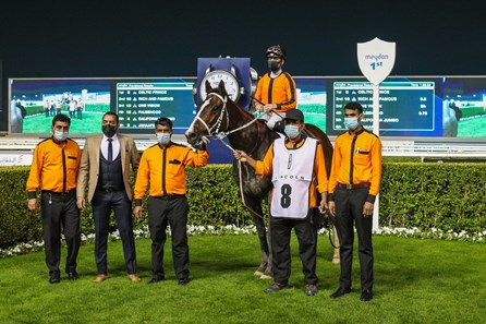 Celtic Prince (GB) - Horse Profile - BloodHorse