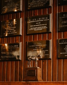 Authentic - Horse Profile - BloodHorse