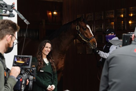 Authentic - Horse Profile - BloodHorse