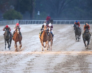 Monomoy Girl - Horse Profile - BloodHorse