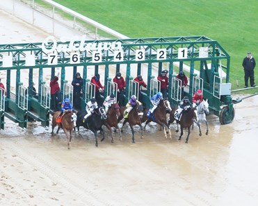 Mystic Guide - Horse Profile - BloodHorse