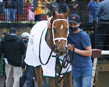 Monomoy Girl - Horse Profile - BloodHorse