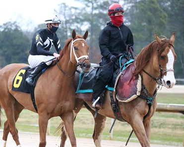 Monomoy Girl - Horse Profile - BloodHorse