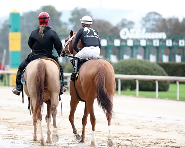 Monomoy Girl - Horse Profile - BloodHorse
