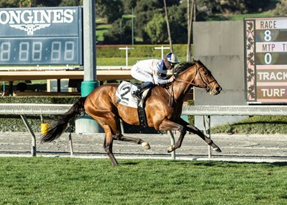 Hit the Road - Horse Profile - BloodHorse