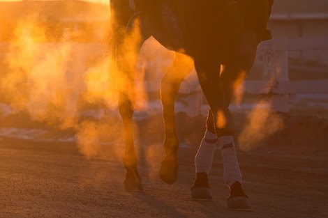 Kegley Sentenced to 30 Months in Horse Doping Case - BloodHorse