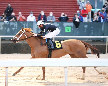 Monomoy Girl - Horse Profile - BloodHorse