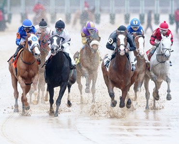 Mystic Guide - Horse Profile - BloodHorse