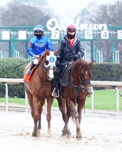 Mystic Guide - Horse Profile - BloodHorse