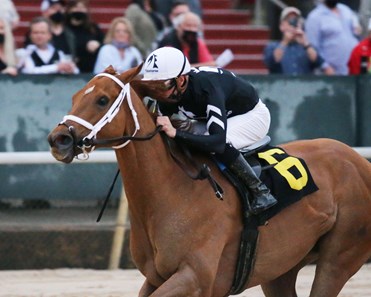 Monomoy Girl - Horse Profile - BloodHorse