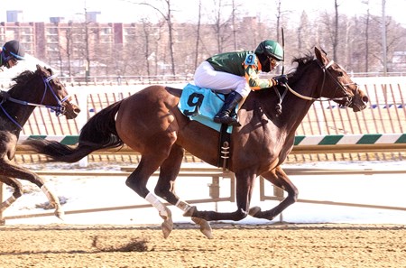 Lucky Stride - Horse Profile - BloodHorse