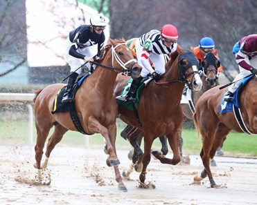 Monomoy Girl - Horse Profile - BloodHorse