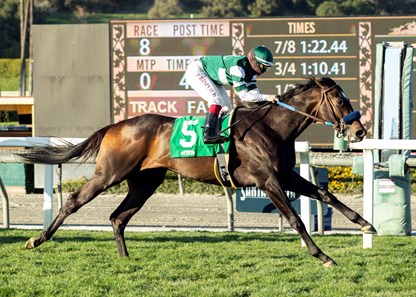 Rock Your World - Horse Profile - BloodHorse
