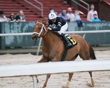 Monomoy Girl - Horse Profile - BloodHorse