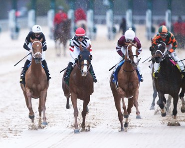Monomoy Girl - Horse Profile - BloodHorse