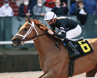 Monomoy Girl - Horse Profile - BloodHorse