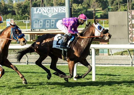 Earls Rock First Black-Type Winner for Fascinating Rock - BloodHorse