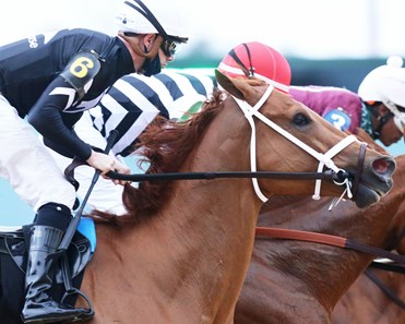 Monomoy Girl - Horse Profile - BloodHorse