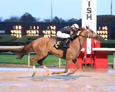 Monomoy Girl - Horse Profile - BloodHorse
