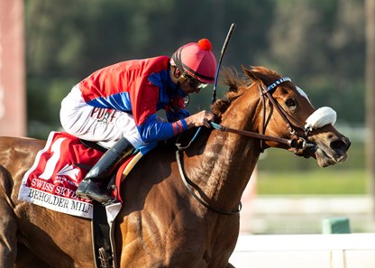 Swiss Skydiver - Horse Profile - BloodHorse